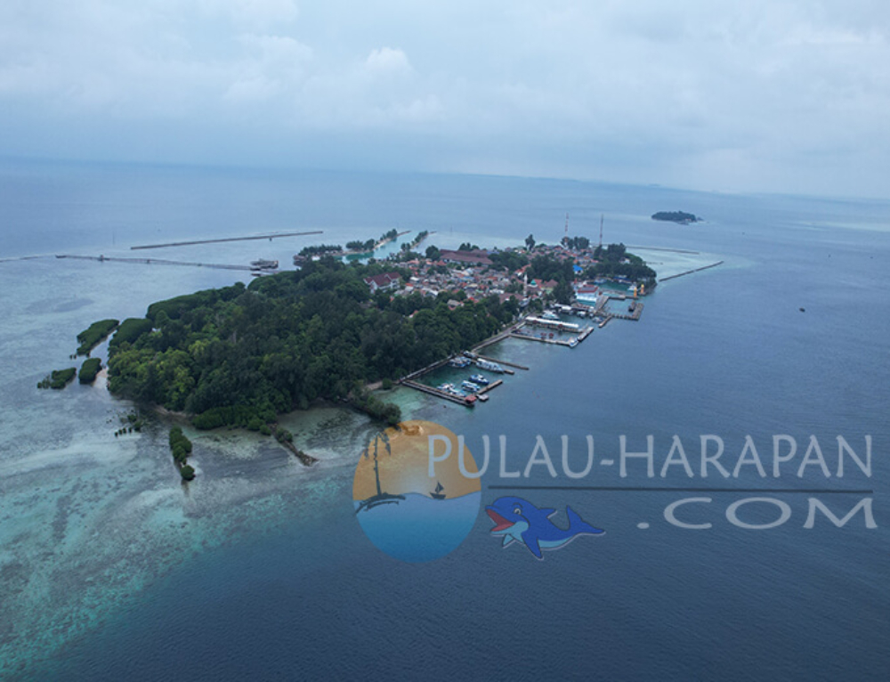 Pulau Dolphin Tempat Wisata Baru yang Sayang Kalau Dilewatkan - Pulau ...